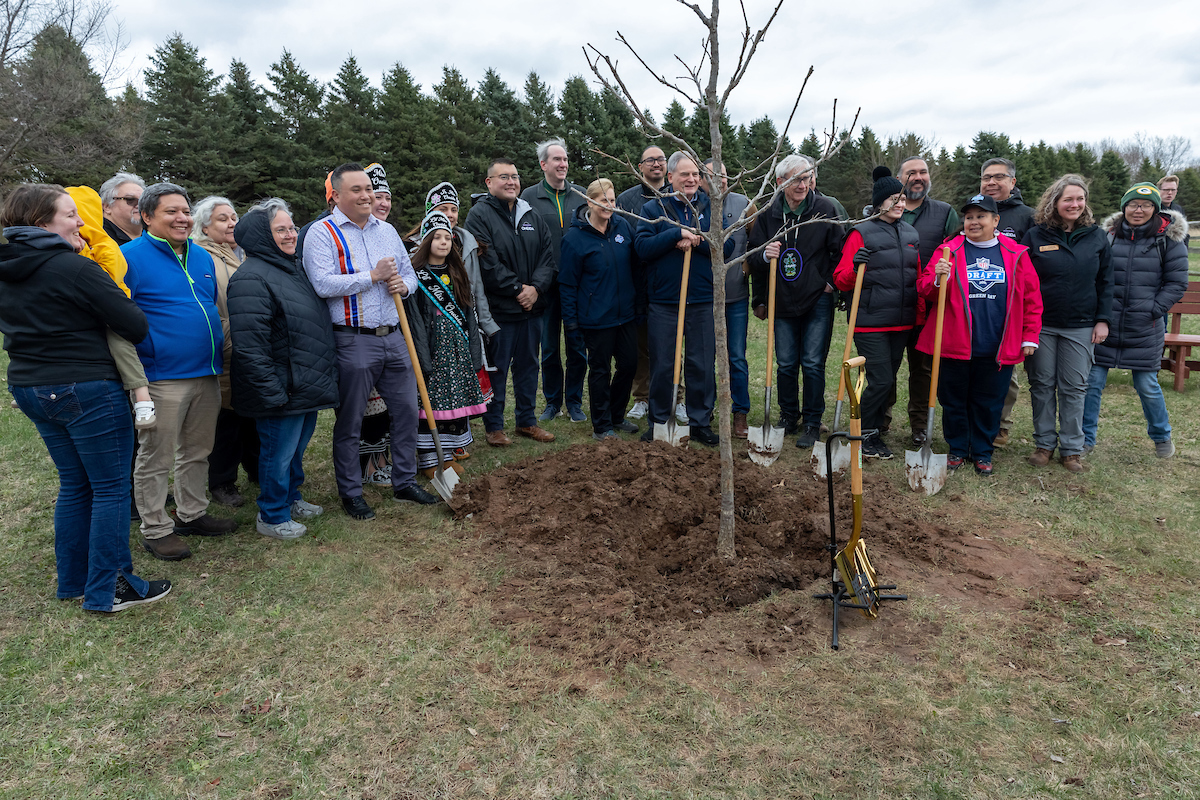 2025 NFL Draft Tree Planting