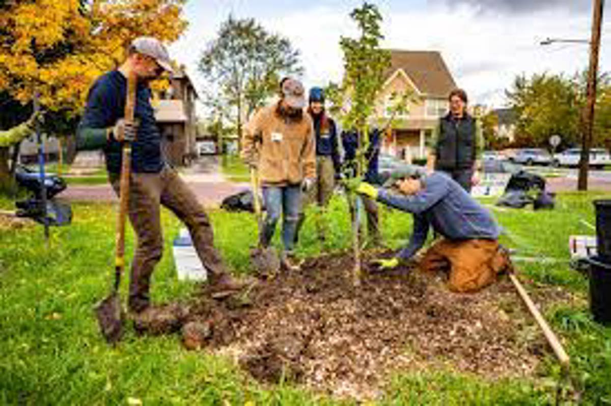 Planting Trees for Better Health in Cleveland